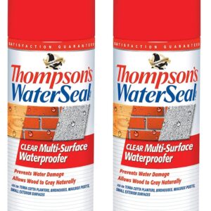 Thompsons TH.010100-18 Clear Multi-Surface Aerosol Waterproofer (Тwo Рack)