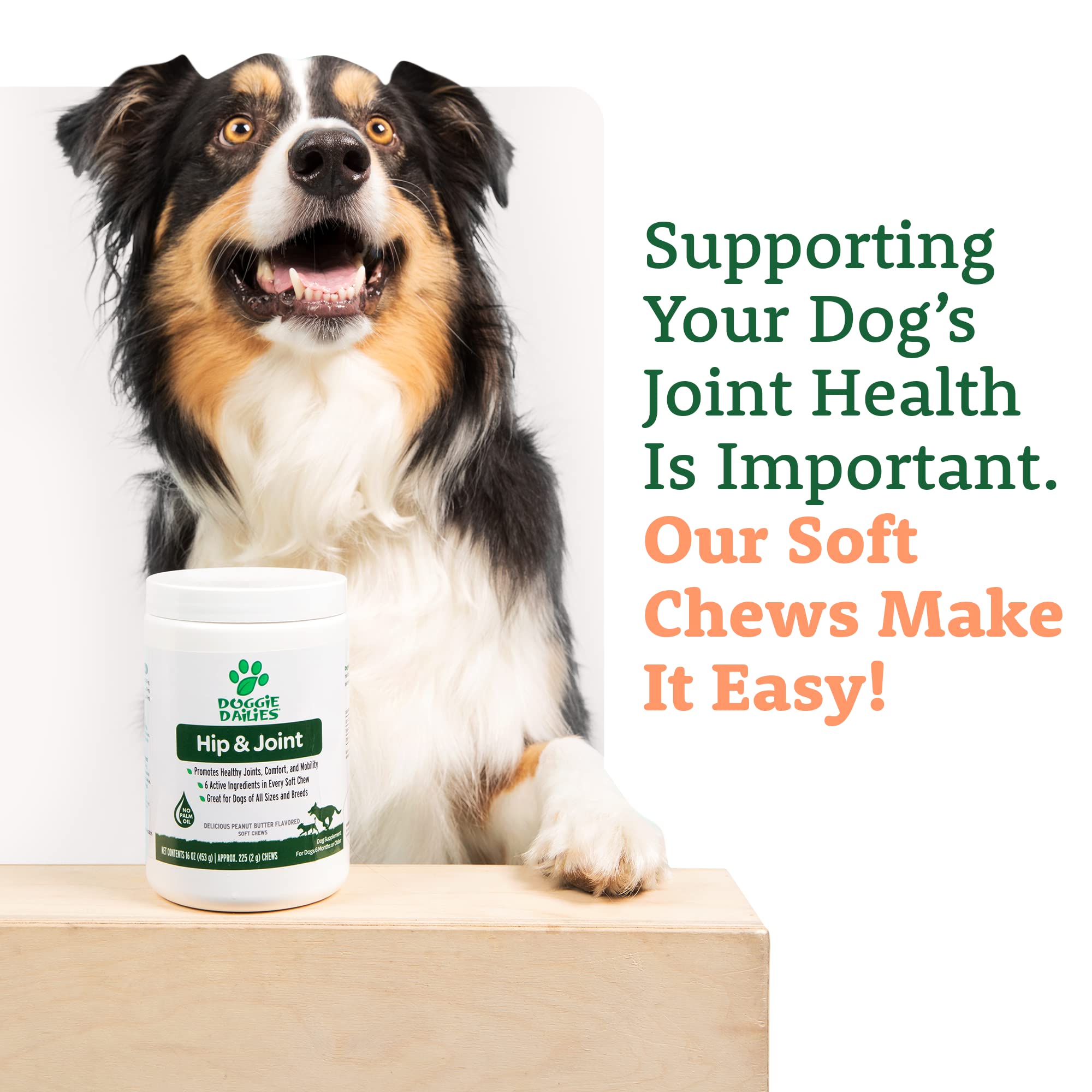 Doggie Dailies Hip and Joint & Probiotic Bundle