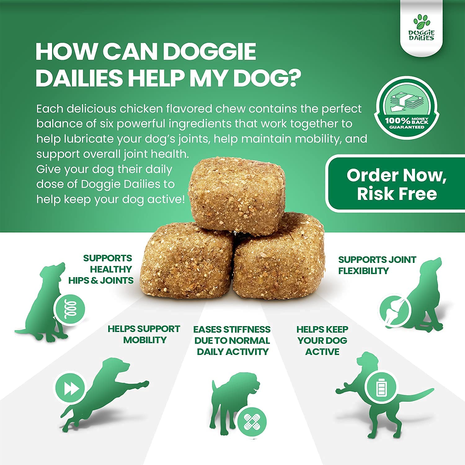 Doggie Dailies Bundle - 5-in-1 Multivitamin & Hip and Joint Soft Chews