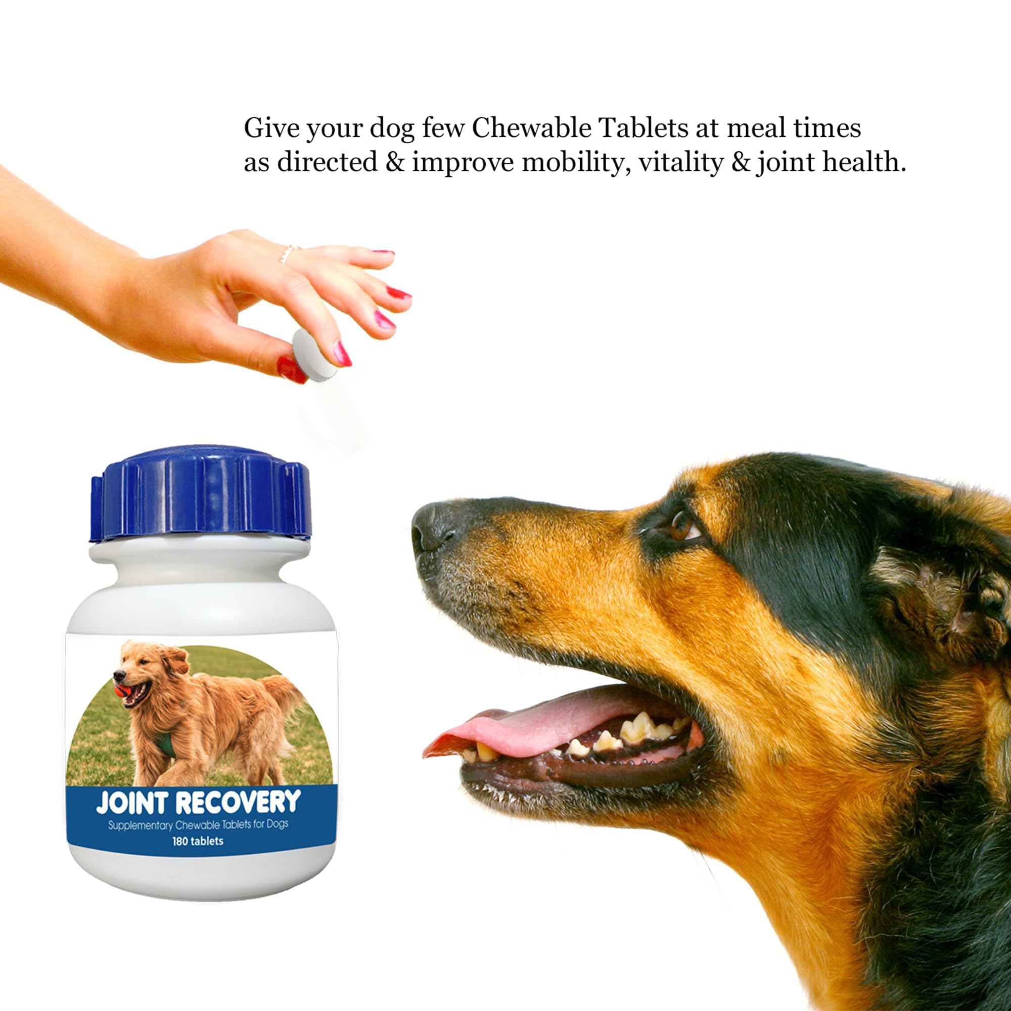 CoCoo Dog, Ferret & Rabbit Glucosamine, Joint Recovery Chewable Tablets, 180 Flavored Tablets, Improves Flexibility & Mobility