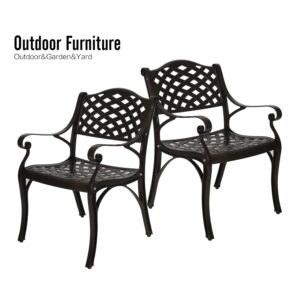 YUSING Outdoor Dining Chairs Set of 2,Patio Dining Chairs,Cast Aluminum Metal Arm Chairs for Kitchen,Garden,Backyard