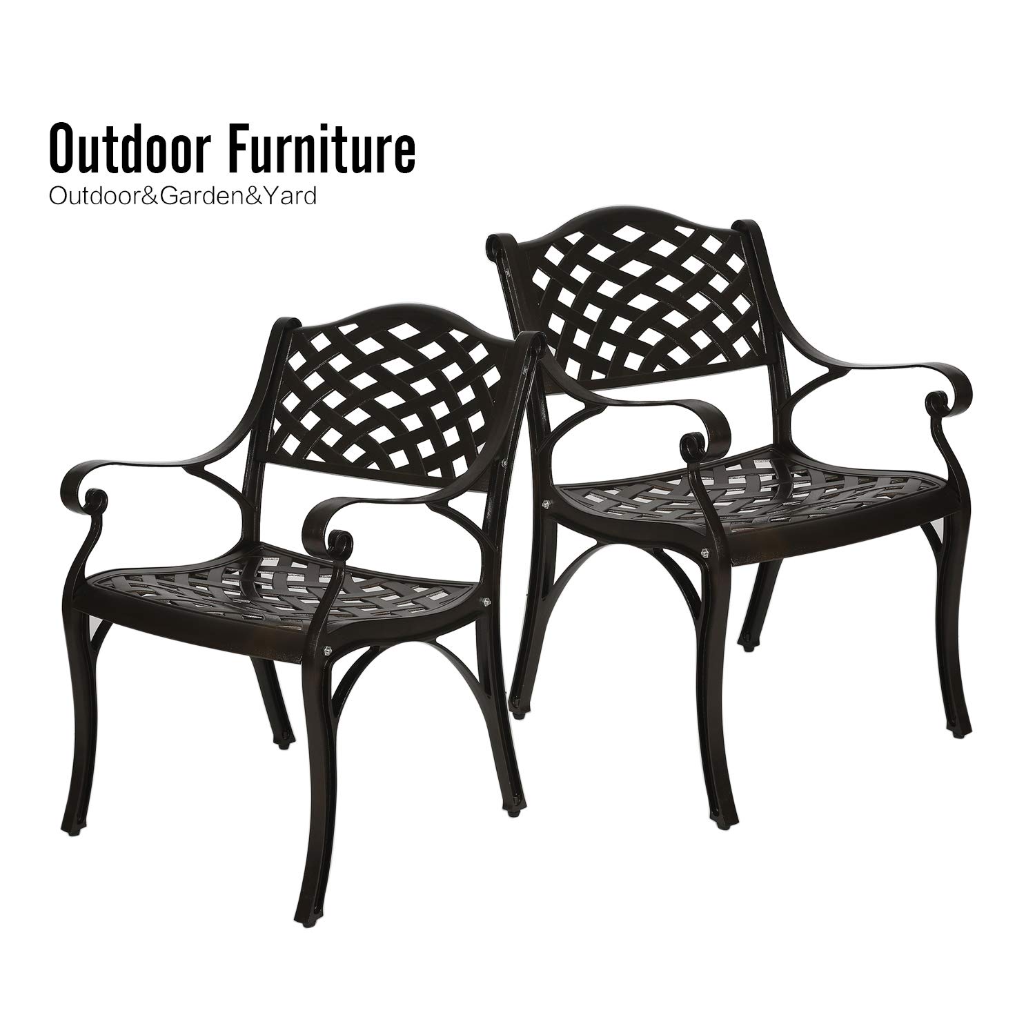 YUSING Outdoor Dining Chairs Set of 2,Patio Dining Chairs,Cast Aluminum Metal Arm Chairs for Kitchen,Garden,Backyard