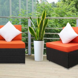 EXCITED WORK PE Wicker Sofa Outdoor Loveseat 2 Piece Patio Couch with Washable Couch Cushions, Outdoor Sectional Furniture Sofa Sets