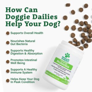 Doggie Dailies Hip and Joint & Probiotic Bundle