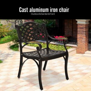 YUSING Outdoor Dining Chairs Set of 2,Patio Dining Chairs,Cast Aluminum Metal Arm Chairs for Kitchen,Garden,Backyard