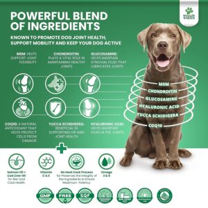 Doggie Dailies Bundle - 5-in-1 Multivitamin & Hip and Joint Soft Chews