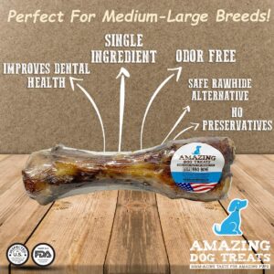 10-11 Inch Meaty Beef Femur Bone (Single Count) - (Made in USA) - Premium American Grade Grass Fed Cattle Bones for Dogs- Beef Femur Shin Bone Dog Chews