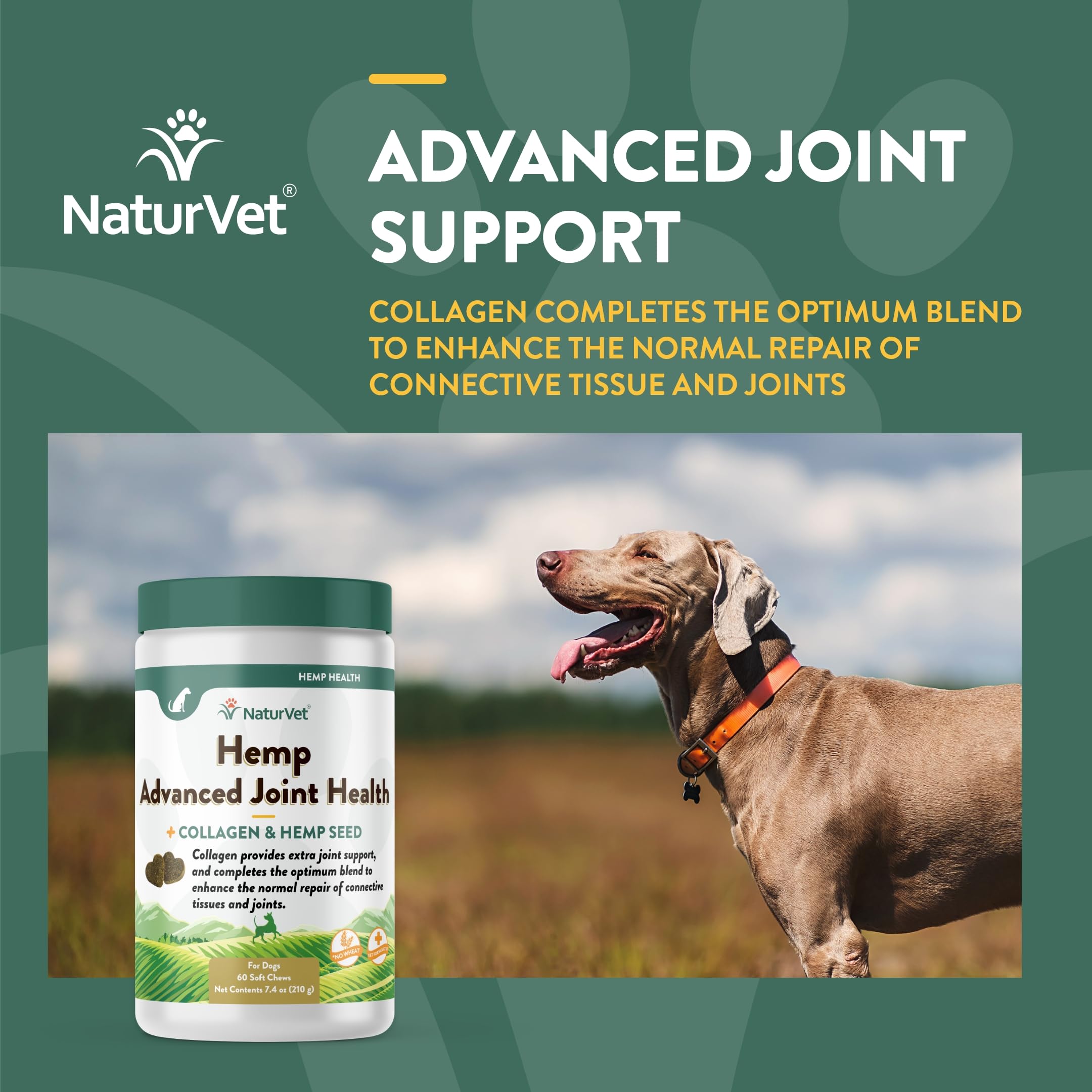 NaturVet Hemp Advanced Joint Health Dog Supplement Plus Hemp Seed – Helps Support Joint Health in Dogs – Includes, Collagen, Glucosamine, MSM, Chondroitin, Omegas – 60 Ct.