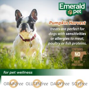 Emerald Pet Pumpkin Harvest Pumpkin Dog Treats — Low-Fat Chewy Natural Dog Treats with Pumpkin for Digestive Health — Meat Free, Poultry Free, Wheat Free Dog Treats — Apple, 6 oz