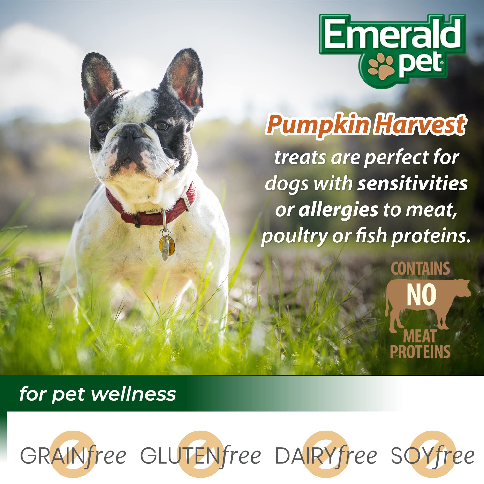 Emerald Pet Pumpkin Harvest Pumpkin Dog Treats — Low-Fat Chewy Natural Dog Treats with Pumpkin for Digestive Health — Meat Free, Poultry Free, Wheat Free Dog Treats — Apple, 6 oz