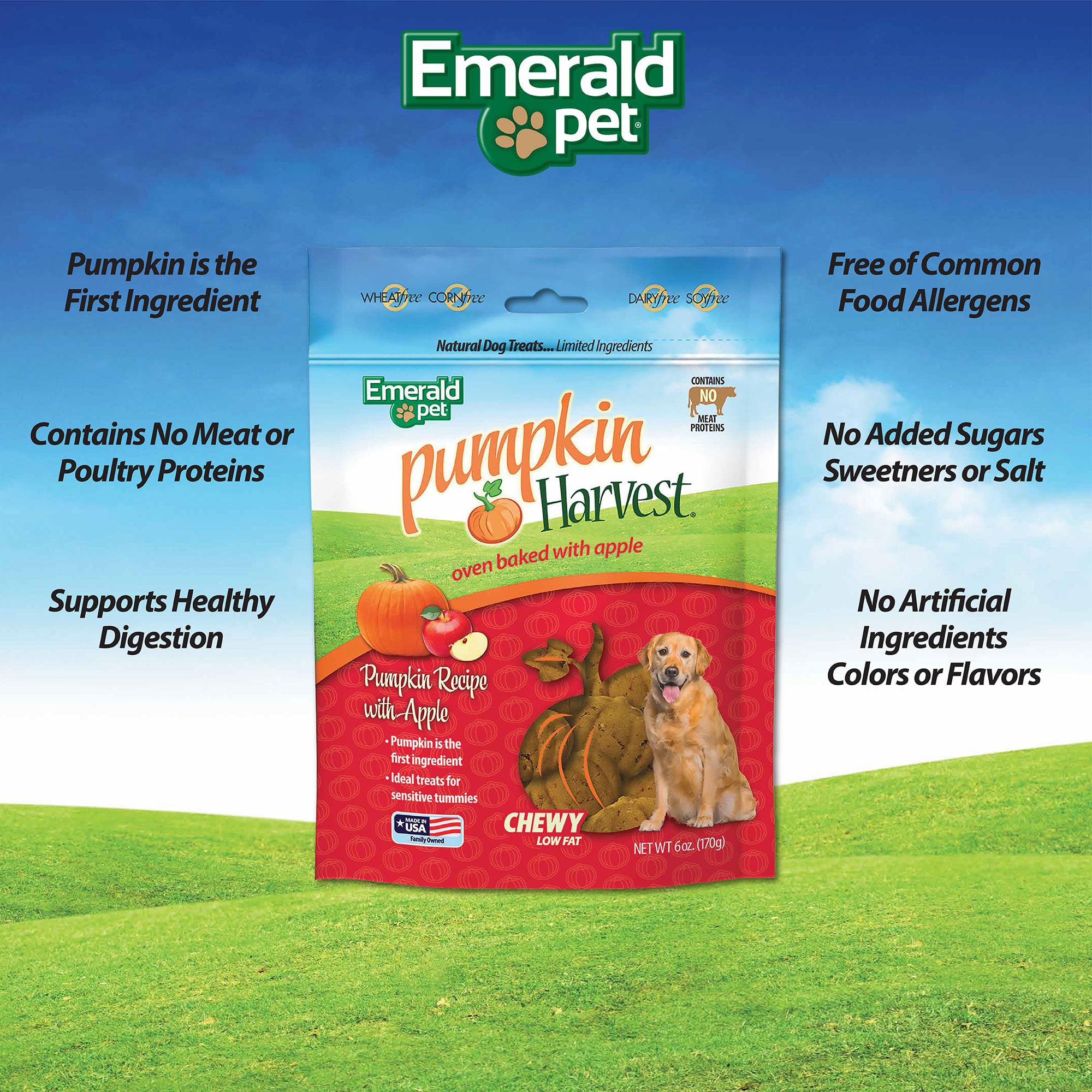 Emerald Pet Pumpkin Harvest Pumpkin Dog Treats — Low-Fat Chewy Natural Dog Treats with Pumpkin for Digestive Health — Meat Free, Poultry Free, Wheat Free Dog Treats — Apple, 6 oz