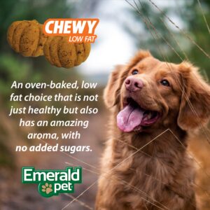 Emerald Pet Pumpkin Harvest Pumpkin Dog Treats — Low-Fat Chewy Natural Dog Treats with Pumpkin for Digestive Health — Meat Free, Poultry Free, Wheat Free Dog Treats — Apple, 6 oz