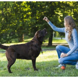 CoCoo Dog, Ferret & Rabbit Glucosamine, Joint Recovery Chewable Tablets, 180 Flavored Tablets, Improves Flexibility & Mobility