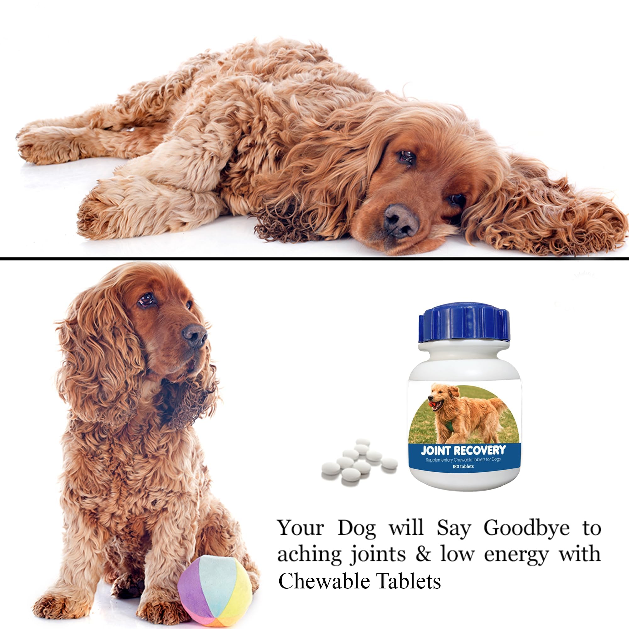 CoCoo Dog, Ferret & Rabbit Glucosamine, Joint Recovery Chewable Tablets, 180 Flavored Tablets, Improves Flexibility & Mobility