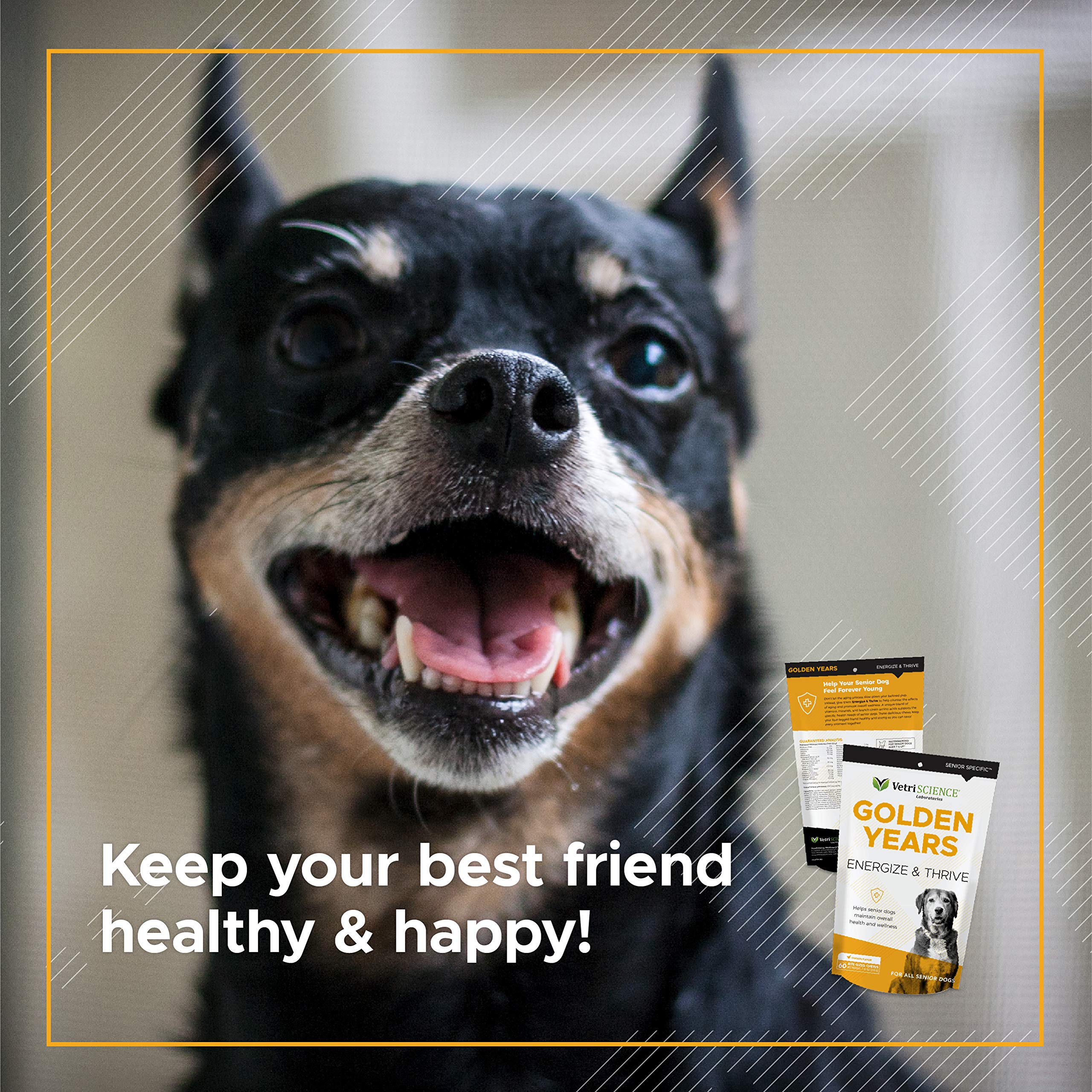 VetriScience Golden Years Energize and Thrive Complete Daily Multivitamin with BCAAs for Senior Dogs, Chicken, 60 Chews