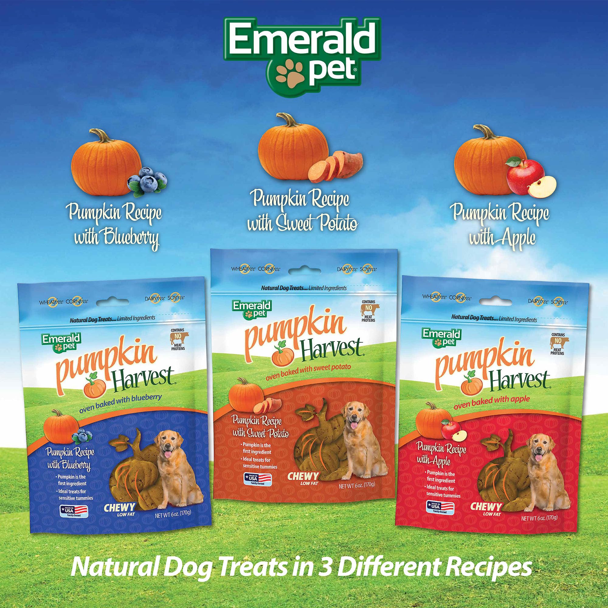 Emerald Pet Pumpkin Harvest Pumpkin Dog Treats — Low-Fat Chewy Natural Dog Treats with Pumpkin for Digestive Health — Meat Free, Poultry Free, Wheat Free Dog Treats — Apple, 6 oz