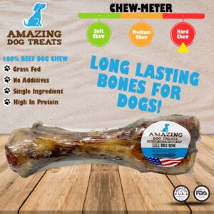 10-11 Inch Meaty Beef Femur Bone (Single Count) - (Made in USA) - Premium American Grade Grass Fed Cattle Bones for Dogs- Beef Femur Shin Bone Dog Chews