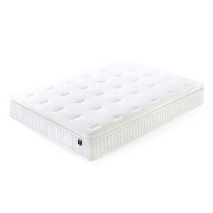 ZINUS 13 Inch Euro Top Pocket Spring Hybrid Mattress, California King, Pressure Relief, Pocket Innersprings for Motion Isolation, Mattress in A Box