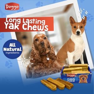 Doggo Dog Chew - Premium Yak Cheese Himalayan Dog Chews - Natural Yak Chews for Large and Small Dogs - Yak Milk Dog Chew - Long-Lasting Treats Aggressive Chewers - X-Large, 1 Pound (3 Pieces)