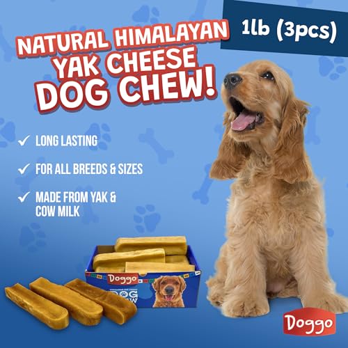 Doggo Dog Chew - Premium Yak Cheese Himalayan Dog Chews - Natural Yak Chews for Large and Small Dogs - Yak Milk Dog Chew - Long-Lasting Treats Aggressive Chewers - X-Large, 1 Pound (3 Pieces)