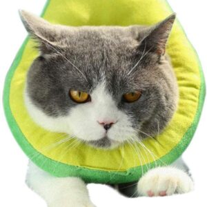 KVV Adjustable Cat Recovery Collar, Cute Toast Neck Cone After Surgery, Wound Healing Protective Cone Bread Surgery Recovery Elizabethan Collars, Soft Edge for Kitten and Cats(Toast)