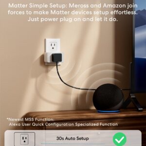 meross Smart Plug Mini, 15A & Reliable Wi-Fi, Support Apple HomeKit, Siri, Alexa, Echo, Google Assistant and Nest Hub, App Control, Timer, No Hub Needed, 2.4G WiFi Only, 1 Pack