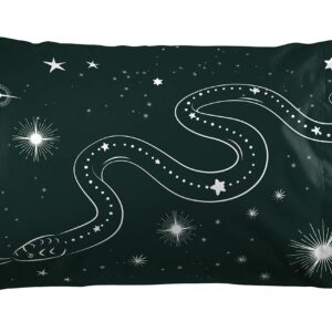 Jay Franco Harry Potter Serpent Stars 1 Pack Pillowcase - Double-Sided Kids Super Soft Bedding - Features Hogwarts House Slytherin