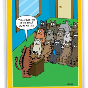 NobleWorks - Jumbo Birthday Greeting Card (8.5 x 11 Inch) - Cartoon Humor, Notecard with Envelope - Cat Question J3674BDG-US