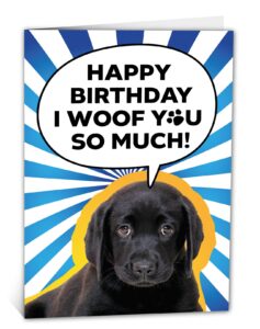 labrador retriever birthday card for a dog lover card featuring adorable pup | large size