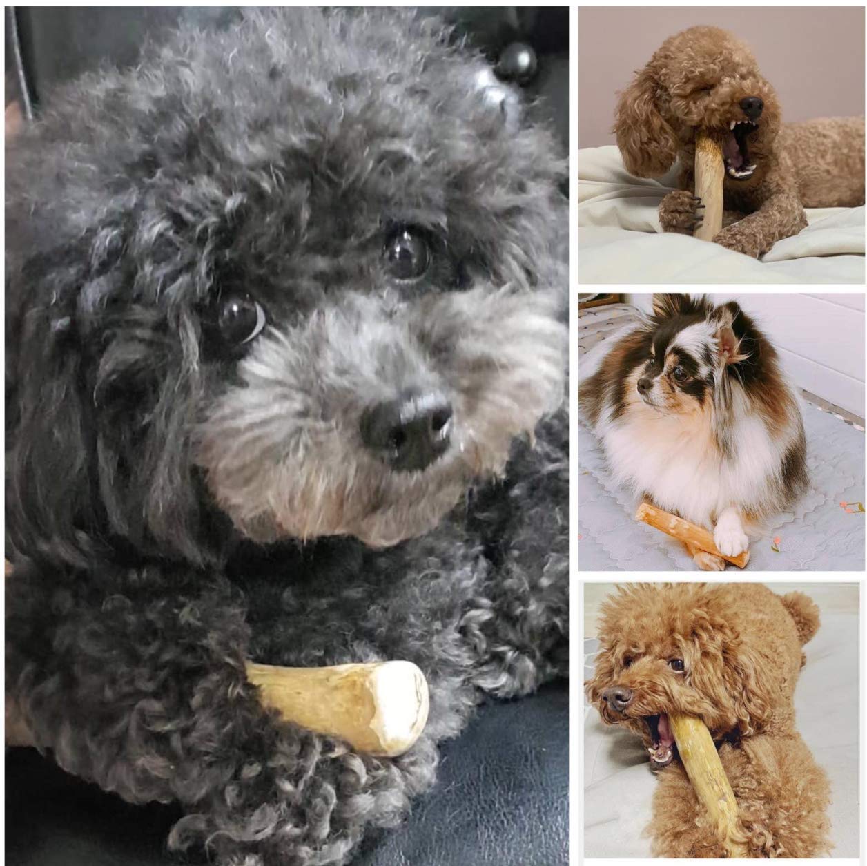 Pet Full House WoofWood Dog Chew Sticks