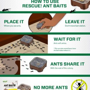 RESCUE! Ant Baits – Indoor Ant Killer, Ant Trap Alternative - 2 Pack (12 Bait Stations)