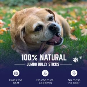 Devil Dog Pet Co. Braided Bully Sticks for Dogs – 12 Inch 3 Pack Chew Treats, 100% All Natural, Long Lasting & Rawhide Free Dog Chews – Premium Braided Bully Sticks for Large Dogs, Medium & Small Dogs