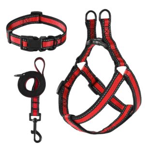 mile high life night reflective double adjustable band nylon small puppy pet dog combo collar leash and harness set (reflective edge red, small (pack of 3))