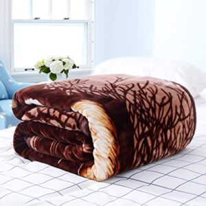 Tiger Blanket Mink Blanket Korean Blanket Heavy Blankets Queen Size Tiger Throw Blanket Korean Mink Blanket Tiger Statue Animal Blanket Bed Warm Blanket Full Queen Animal Blankets Mexican Blanket