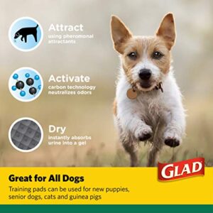 Glad for Pets Activated Carbon Dog Training Pads - Super Absorbent and Leak Proof Dog Pee Pads Extra Large, Indoor Potty Pads with Adhesive Strips, XL Puppy Pad Giant Size, 30" x 36", 24 Count