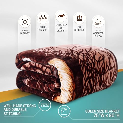 Tiger Blanket Mink Blanket Korean Blanket Heavy Blankets Queen Size Tiger Throw Blanket Korean Mink Blanket Tiger Statue Animal Blanket Bed Warm Blanket Full Queen Animal Blankets Mexican Blanket