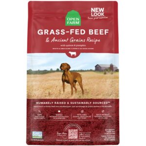 open farm ancient grains dry dog food, humanely raised meat recipe with wholesome grains and no artificial flavors or preservatives (grass-fed beef ancient grain, 4 pound (pack of 1))