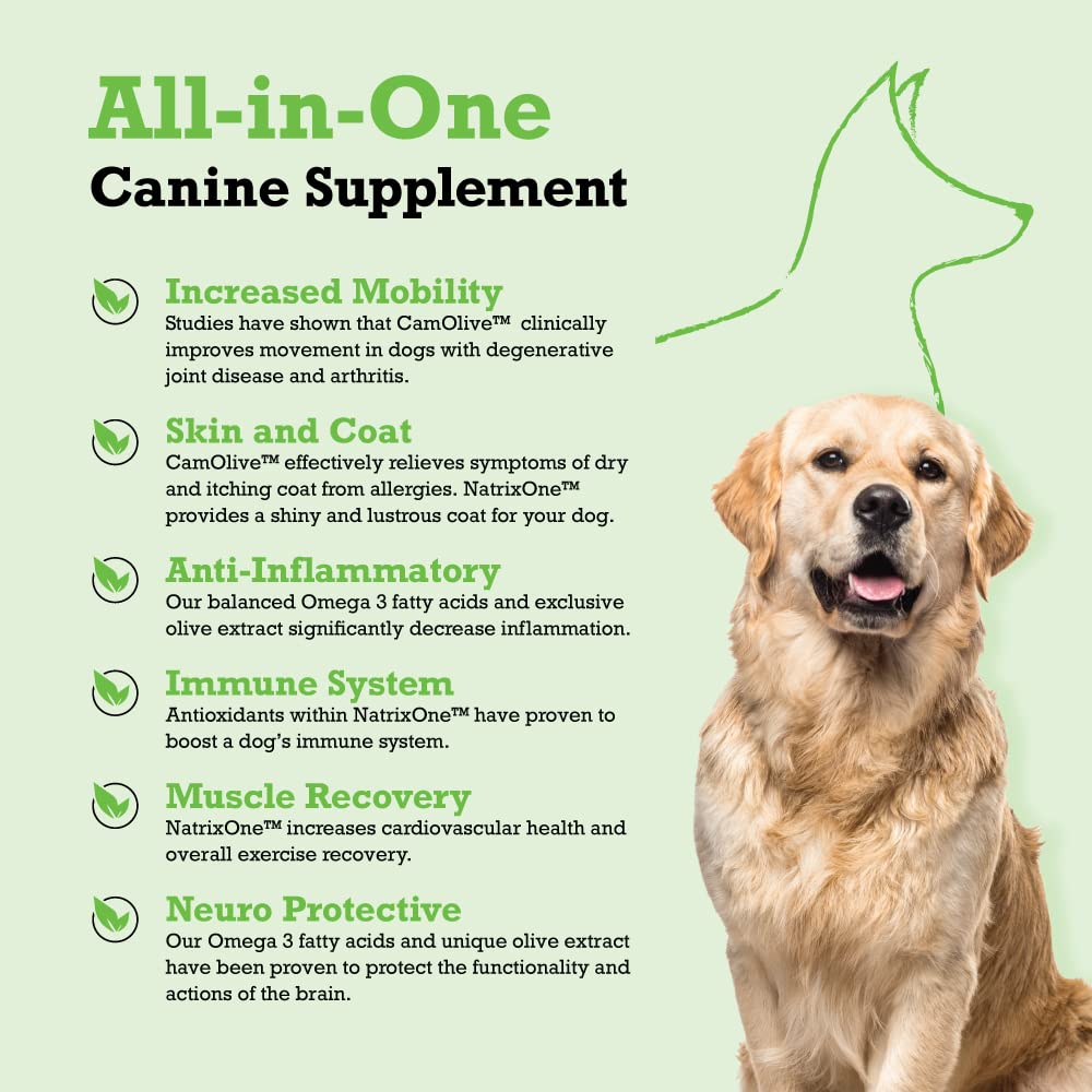 Camelina Oil for Dogs, Dog Skin and Coat Supplement All-Natural Supplements, Support Hearts, Joints, Coats, Skin and Anti-inflammatory Systems, Protective & Maintenance Care, 16 oz by NatrixOne