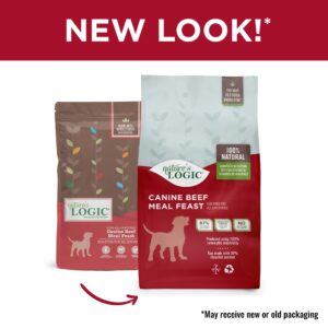 NATURE'S LOGIC Dog Food Canine Meal Feast, Beef