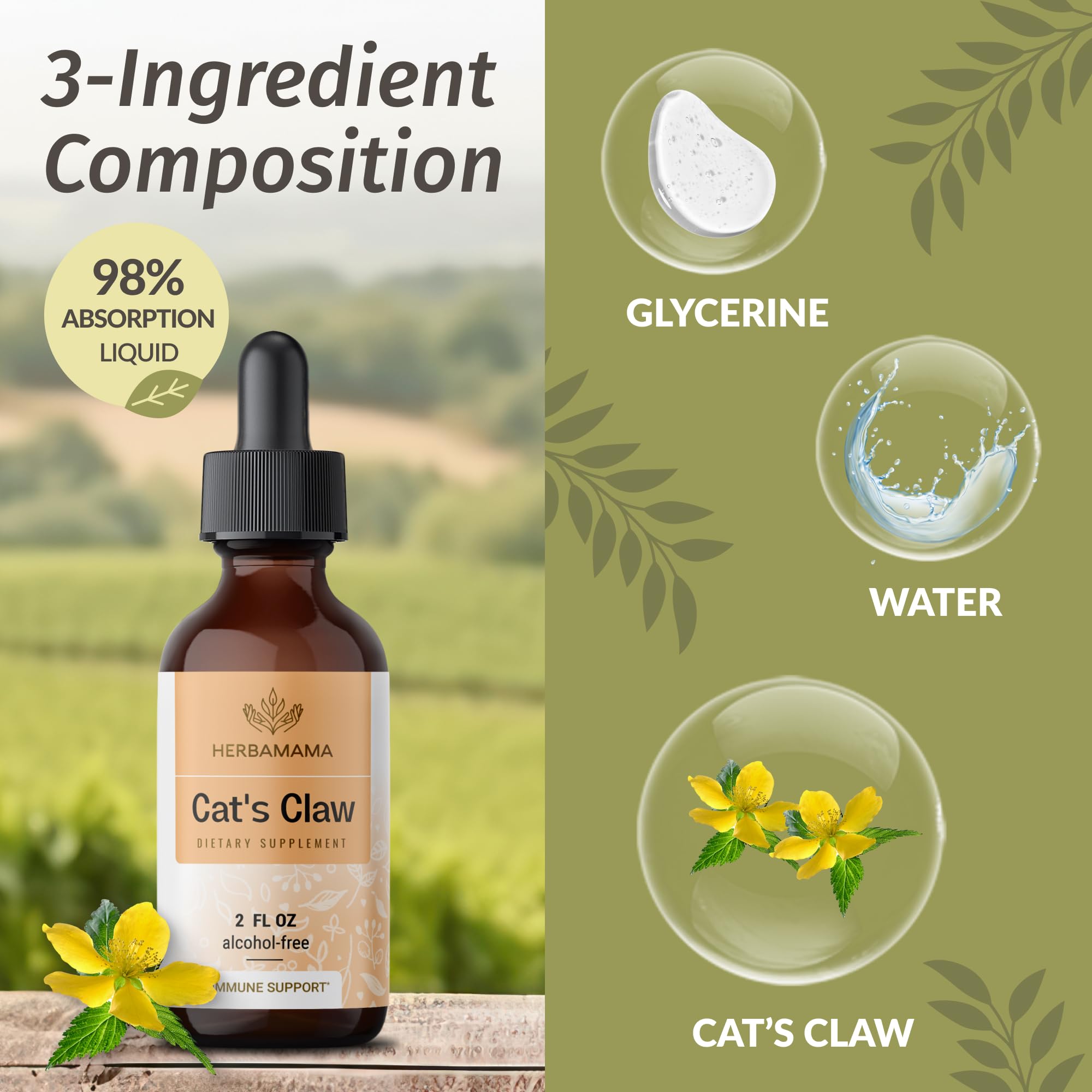 HERBAMAMA Cat's Claw Tincture - Vegan Cat's Claw Supplement for Immune Support - Immunity Drops with Cat's Claw Herb - Alcohol & Sugar-Free, 28-Day Supply