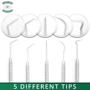 Scientific Labwares 5-Piece Stainless Steel Precision Probe, Pick and Hook Set: Dissection, Clay and Wax Modeling, Sewing, Precision Work and More!