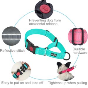 haapaw 2 Packs Martingale Dog Collar with Quick Release Buckle Reflective Dog Training Collars for Small Medium Large Dogs