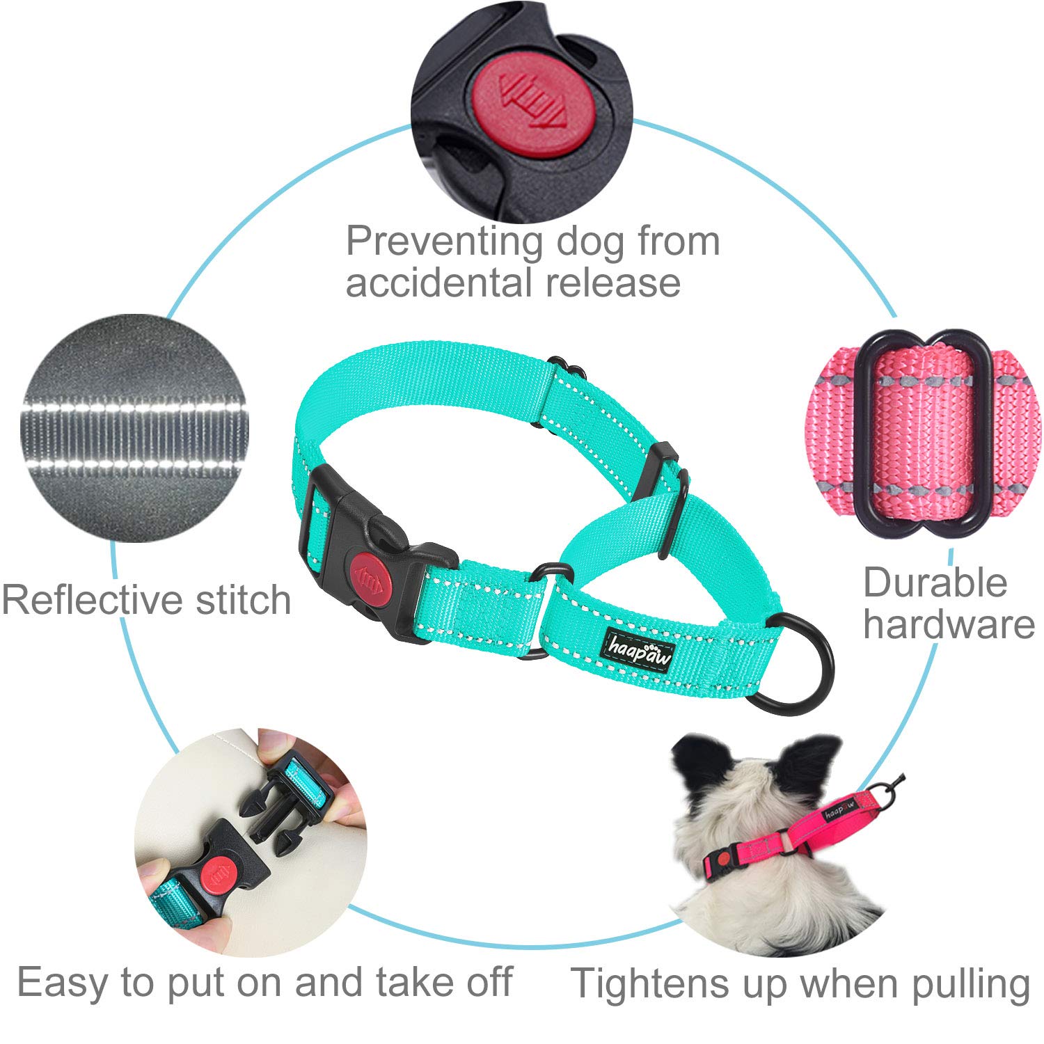 haapaw 2 Packs Martingale Dog Collar with Quick Release Buckle Reflective Dog Training Collars for Small Medium Large Dogs