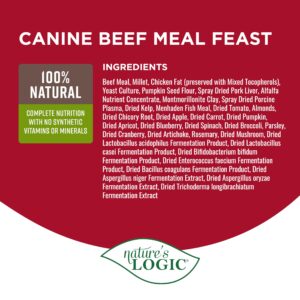 NATURE'S LOGIC Dog Food Canine Meal Feast, Beef