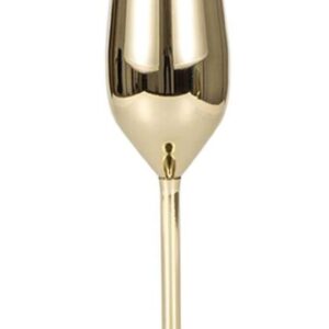 VERISA Stainless Steel gold champagne flutes Set of 2, moet champagne mimosa flutes 200ML Unbreakable champagne flutes for Wedding, mocktail glasses,bride and groom champagne glasses