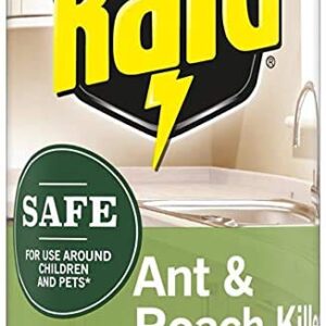 Raid Ant and Roach Killer, Aerosol Spray with Essential Oils (3)