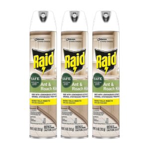 raid ant and roach killer, aerosol spray with essential oils (3)