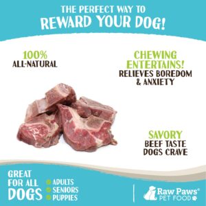 Raw Paws Meaty Beef Bones for Dogs, 8-lb - Made in USA - Frozen Raw Bones for Dogs - Raw Beef Bones - Frozen Dog Bones - Raw Dog Bones for Aggressive Chewers - Frozen Raw Meaty Dog Bones