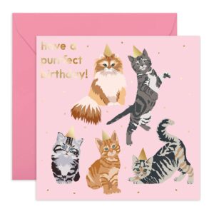 central 23 — cute birthday card for her - cats 'purrfect birthday' - for mom wife sister - comes with fun stickers