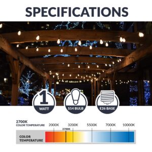 Newhouse Lighting S14LED30P Outdoor Weatherproof 1W (11W Equivalent) Shatter-Resistant S14 LED Replacement String Light Bulbs, Warm White 2700K, Standard E26 Base, Shatterproof, 30-Pack